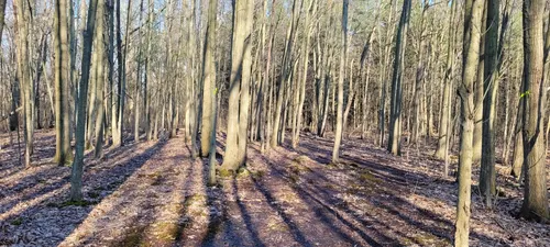 Best Forest Trails in Fort Erie | AllTrails