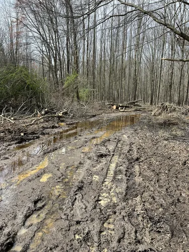 Best Hikes and Trails in Sandy Point State Park | AllTrails