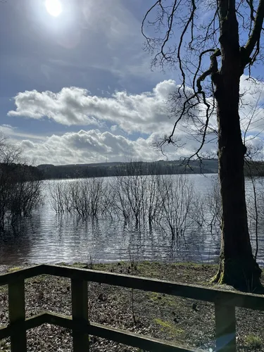 10 Best Trails, Walks, and Paths in Harrogate | AllTrails