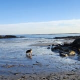 Fort Foster and Kittery Point Shore Trail, Maine - 650 Reviews, Map ...