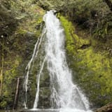 Madison Falls Trail, Washington - 1,632 Reviews, Map | AllTrails