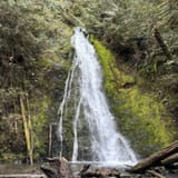 Madison Falls Trail, Washington - 1,632 Reviews, Map | AllTrails