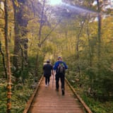 Moon Seed Loop, Louisiana - 389 Reviews, Map | AllTrails