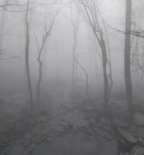 Best Hikes and Trails in Shamokin Springs Nature Preserve | AllTrails