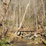 Roaring Run Hoop Hole Trail, Virginia - 719 Reviews, Map | AllTrails
