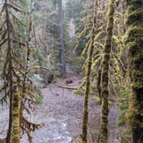 Santiam Wagon Road to House Rock, Oregon - 491 Reviews, Map | AllTrails