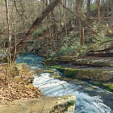 Roaring Run Trail, Virginia - 809 Reviews, Map | AllTrails