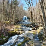 Roaring Run Trail, Virginia - 809 Reviews, Map | AllTrails