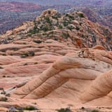 Yant Flats Trail, Utah - 1,179 Reviews, Map | AllTrails