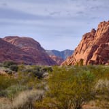 Johnson Canyon Trail, Utah - 973 Reviews, Map | AllTrails