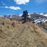 Tom Cooke and Steamboat Ditch Trail, Nevada - 647 Reviews, Map | AllTrails