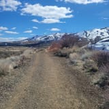 Tom Cooke and Steamboat Ditch Trail, Nevada - 647 Reviews, Map | AllTrails