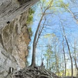 Raven Rock Loop Trail, North Carolina - 2,488 Reviews, Map | AllTrails