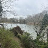 Greenbury Point Trail, Maryland - 1,055 Reviews, Map | AllTrails