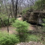 Tanyard Perimeter Loop, Arkansas - 2,620 Reviews, Map | AllTrails