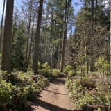 Coyote Loop, Washington - 2,416 Reviews, Map | AllTrails