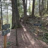 Chuckanut Ridge Trail, Washington - 403 Reviews, Map | AllTrails