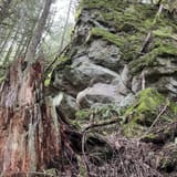 Chuckanut Ridge Trail, Washington - 403 Reviews, Map | AllTrails