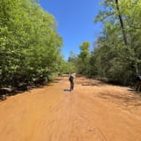 Canyon Loop Trail, Georgia - 2,204 Reviews, Map | AllTrails