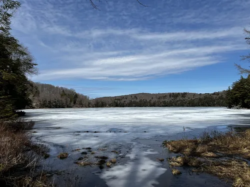 Best Trail Running Trails in Limberlost Forest and Wildlife Reserve ...