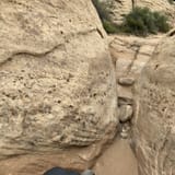 Zen Trail, Utah - 798 Reviews, Map | AllTrails