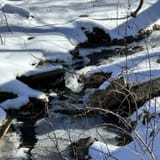 Benedict Pond Loop Trail, Massachusetts - 695 Reviews, Map | AllTrails