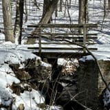 Benedict Pond Loop Trail, Massachusetts - 695 Reviews, Map | AllTrails