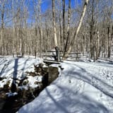 Benedict Pond Loop Trail, Massachusetts - 695 Reviews, Map | AllTrails