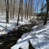 Benedict Pond Loop Trail, Massachusetts - 695 Reviews, Map | AllTrails