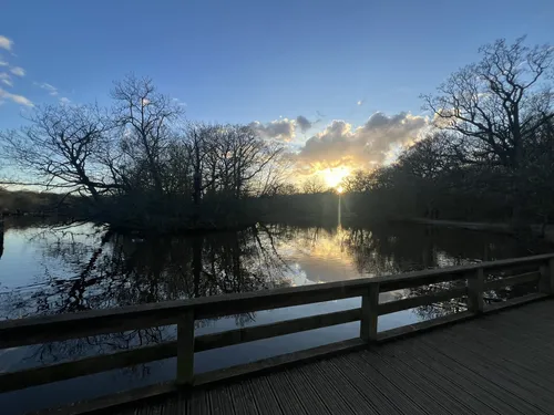 Best River Trails in Epping Forest | AllTrails