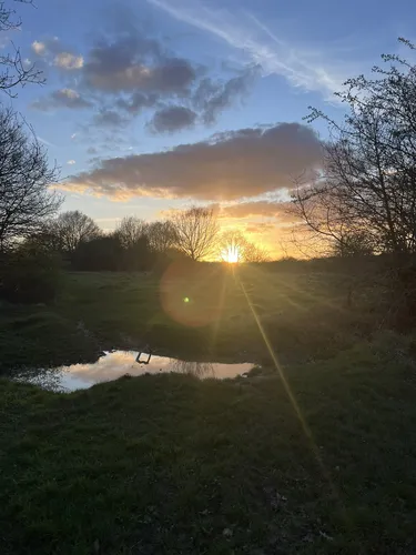 Best River Trails in Epping Forest | AllTrails