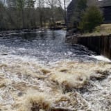 Batsto Lake Trail, New Jersey - 1,583 Reviews, Map | AllTrails