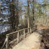 Batsto Lake Trail, New Jersey - 1,583 Reviews, Map | AllTrails