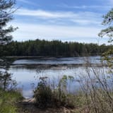 Batsto Lake Trail, New Jersey - 1,583 Reviews, Map | AllTrails