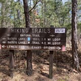 Batsto Lake Trail, New Jersey - 1,583 Reviews, Map | AllTrails