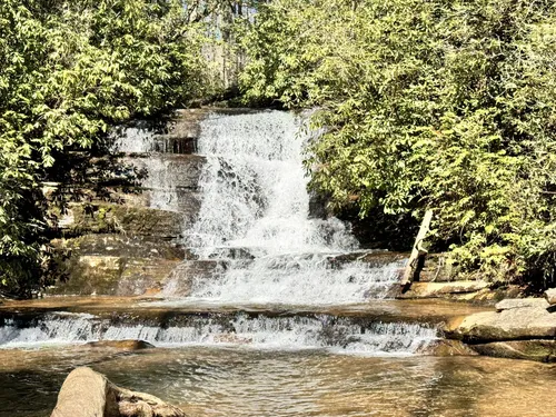 Best Mountain Biking Trails in Tiger | AllTrails