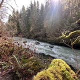Robe Canyon Historic Trail, Washington - 952 Reviews, Map | AllTrails