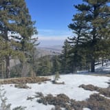 Mount Falcon Castle Trail Loop, Colorado - 5,607 Reviews, Map | AllTrails