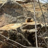 Adelmann Mine, Idaho - 1,238 Reviews, Map | AllTrails