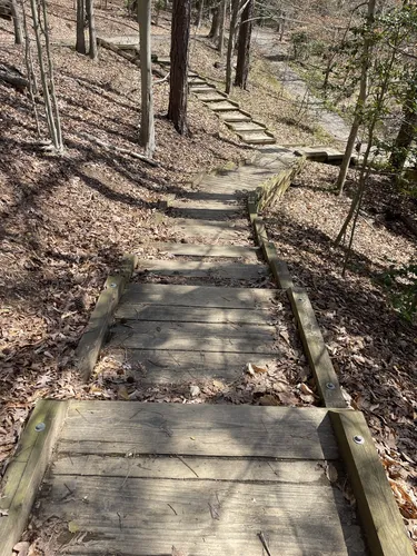 Best Trail Running Trails in Chester | AllTrails
