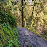 Lower Macleay Park to Pittock Mansion, Oregon - 4,245 Reviews, Map ...