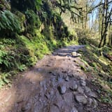 Lower Macleay Park to Pittock Mansion, Oregon - 4,229 Reviews, Map ...
