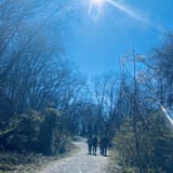 Bull Hill Full Loop, New York - 5,434 Reviews, Map | AllTrails