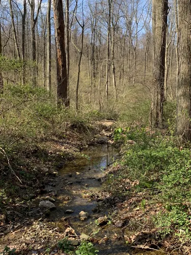 Best Walking Trails in Spring Grove | AllTrails