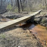 Bacon Ridge Trail: Phase 3, Maryland - 2,308 Reviews, Map | AllTrails