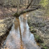 Bacon Ridge Trail: Phase 3, Maryland - 2,308 Reviews, Map | AllTrails