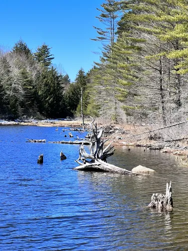 Best Walking Trails in New Durham | AllTrails