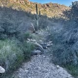 Second Water and Hackberry Spring Loop, Arizona - 1,984 Reviews, Map ...