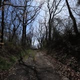 Arc Corner Monument Loop, Delaware - 132 Reviews, Map | AllTrails