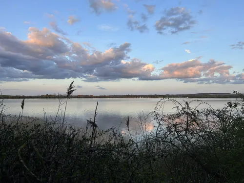 Best Hikes and Trails in Marston Vale Millennium Country Park | AllTrails